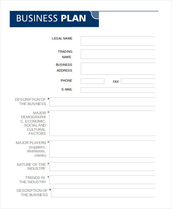 Blank Business Plan Template Word What Will Blank Business Plan 